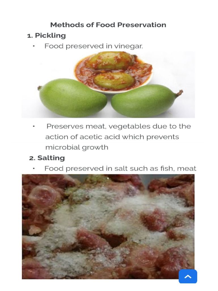 Preservation Methods | PDF