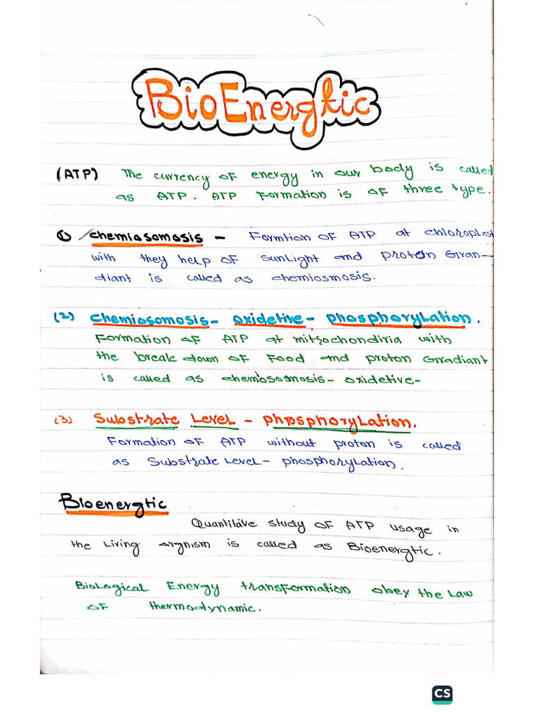 BIOENERGETICS NOTES | PDF