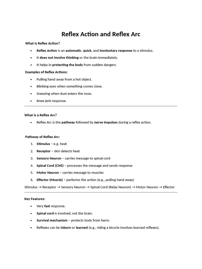 Differences Between Reflex Action and Arc | PDF