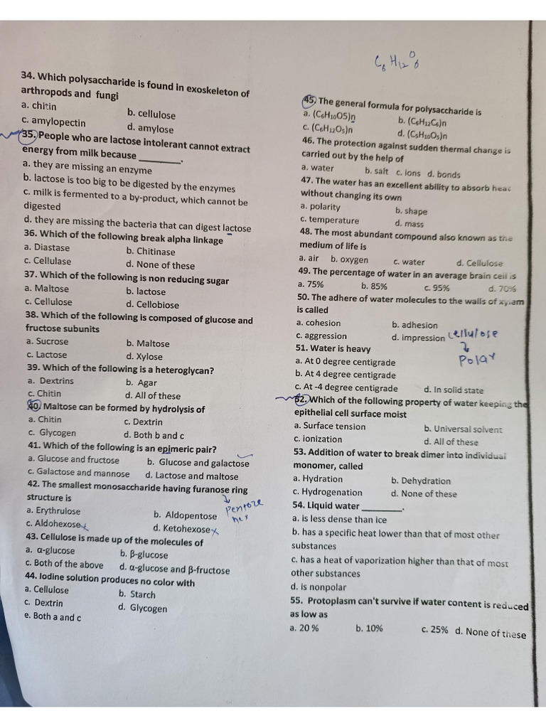 Grammar Mcqs | PDF