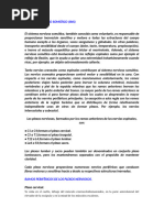 Dermatomas y Miotomas La Inervación Sensitiva Segmentaria | PDF ...