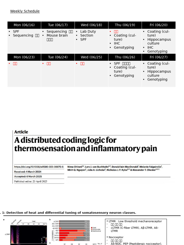 A Distributed Coding Logic For Thermosensation and Inflammatory Pain | PDF