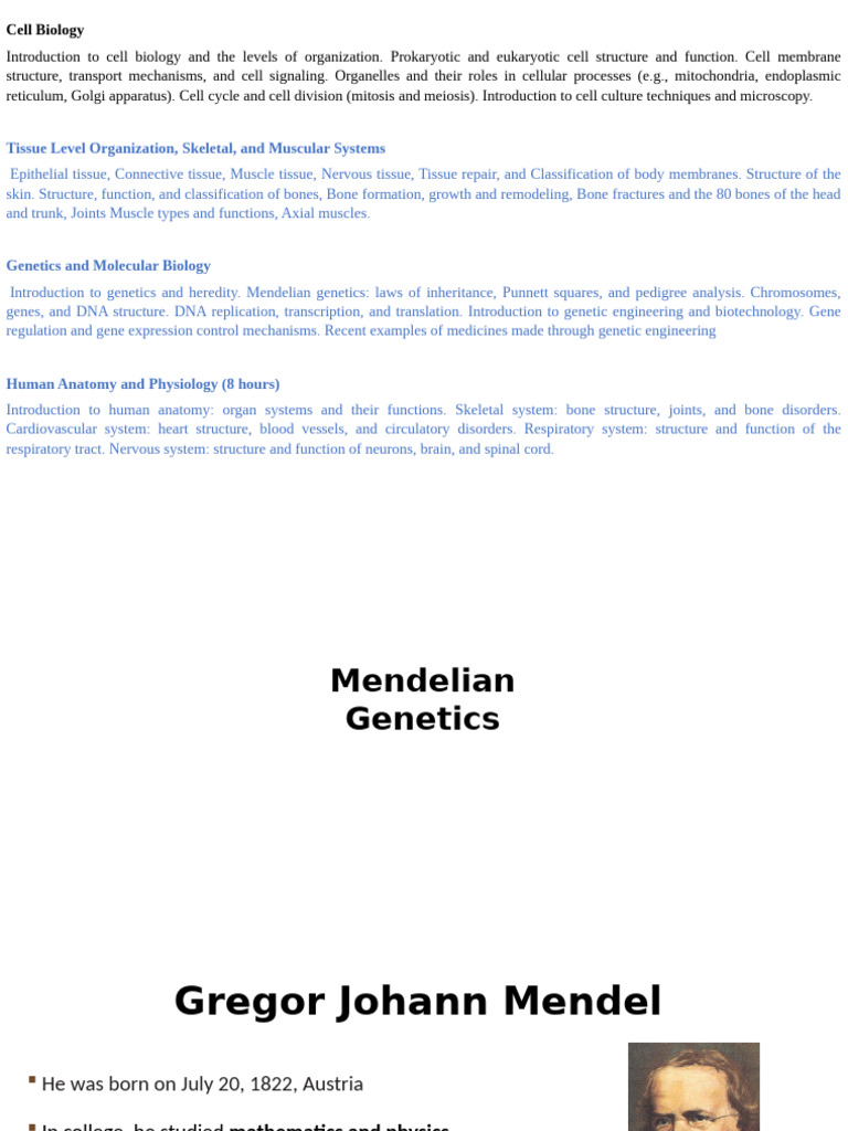 Cell Biology and Mendelian Genetics Overview | PDF | Translation ...