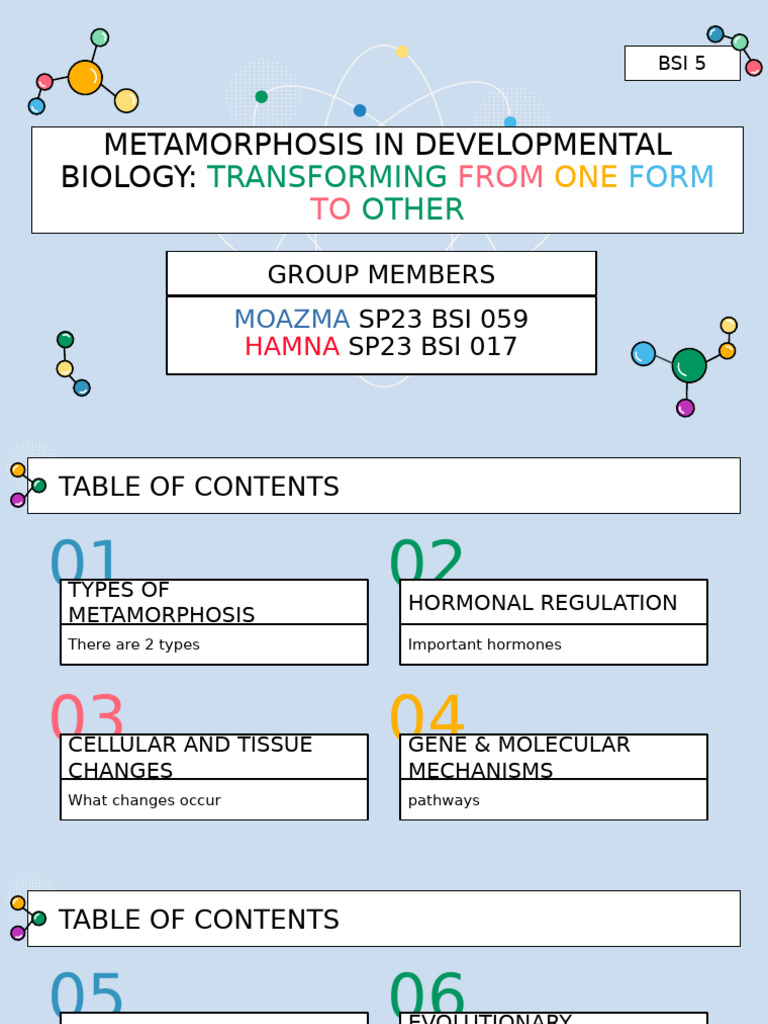 Metamorphosis in Developmental Biology | PDF | Pupa | Life Sciences
