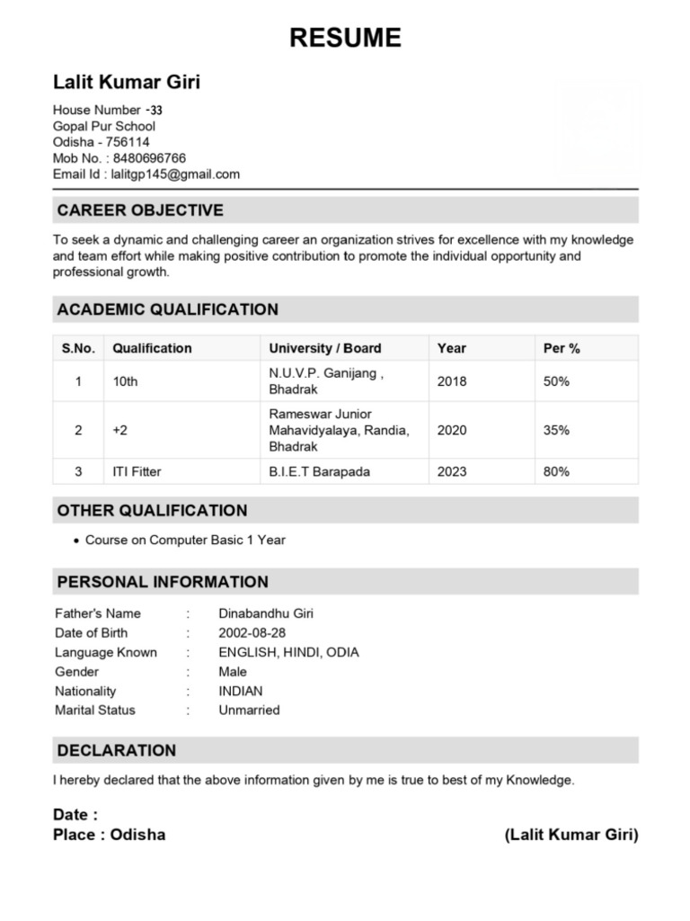 My Resume | PDF