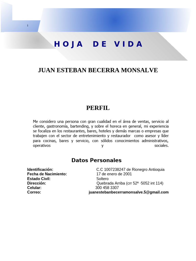 Hoja de Vida Actualizada Ampliada | PDF
