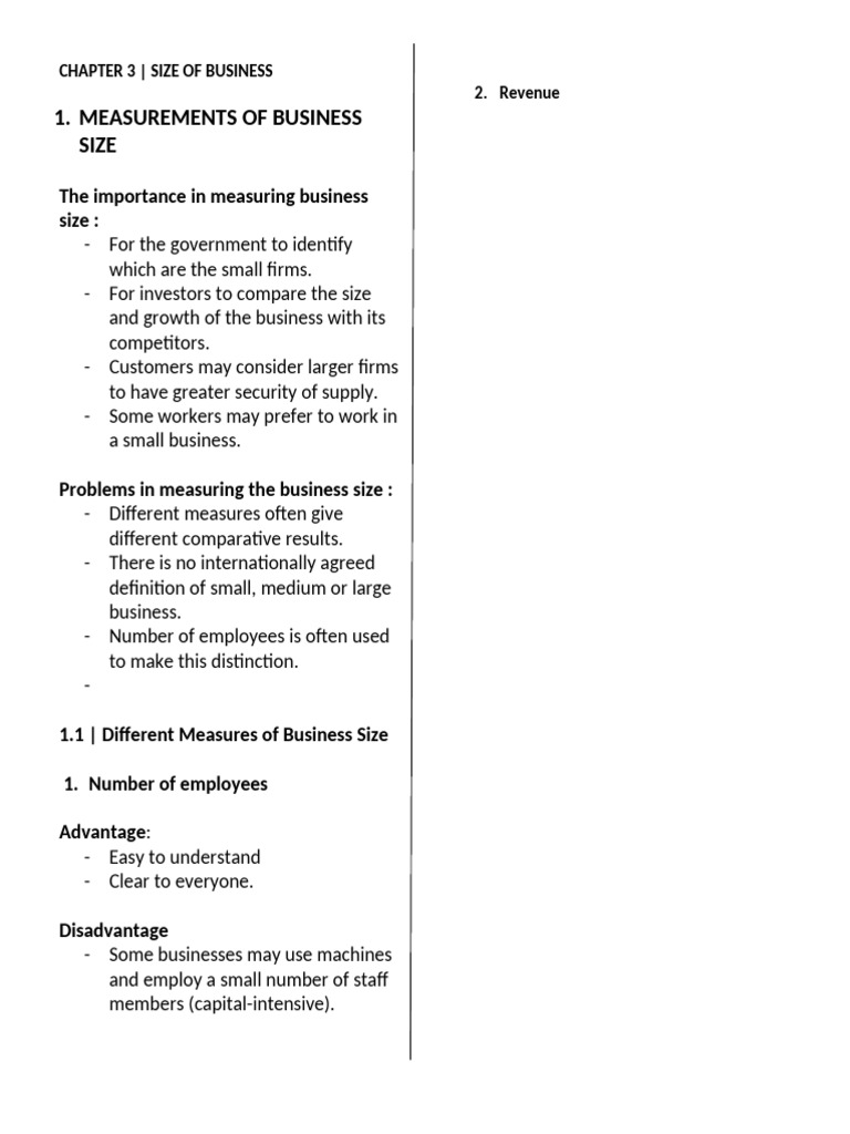 Measuring Business Size: Key Insights | PDF