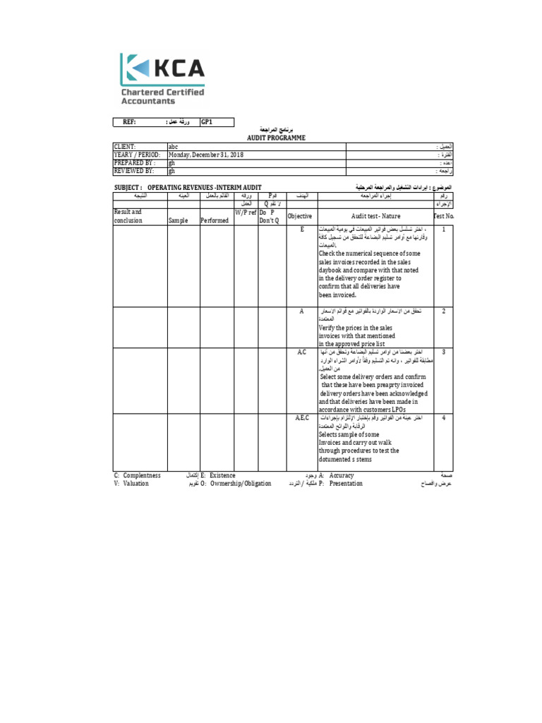 Audit Procedures - Separate With Logo | PDF