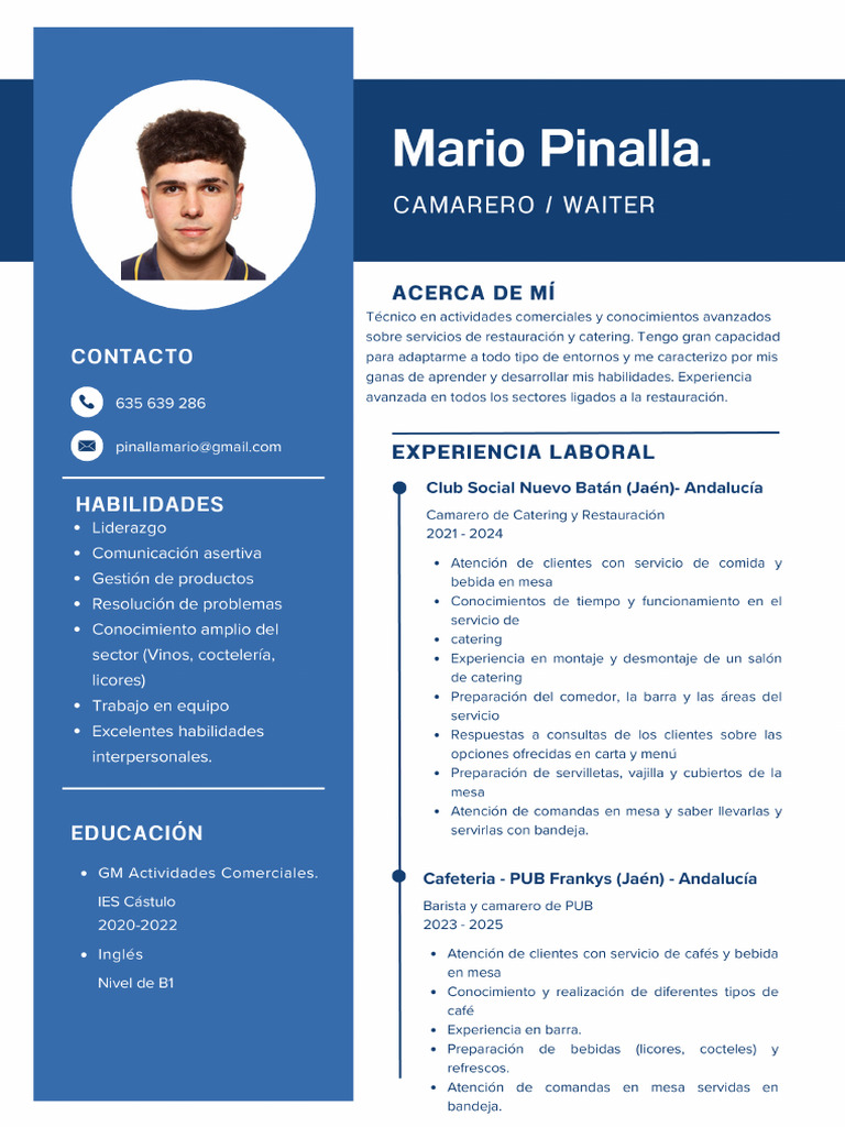 CV Mario Pinalla Martínez | PDF
