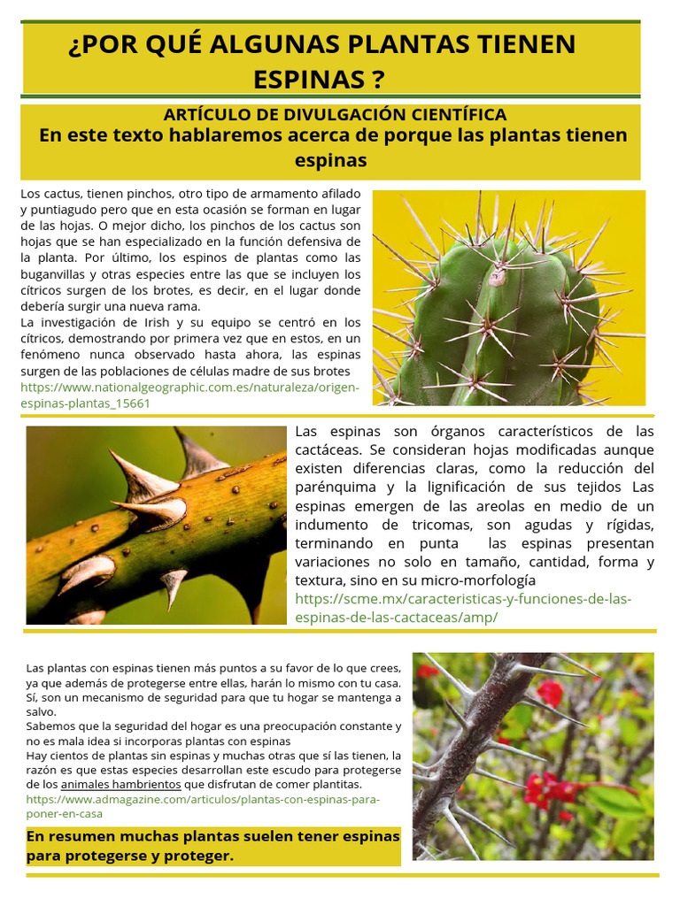 Documento A4 Boletín Informativo De Noticias Elegante Minimalista Blanco y Negro.pdf | PDF ...