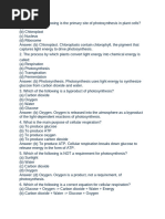 Photosynthesis & Cellular Respiration Key | PDF