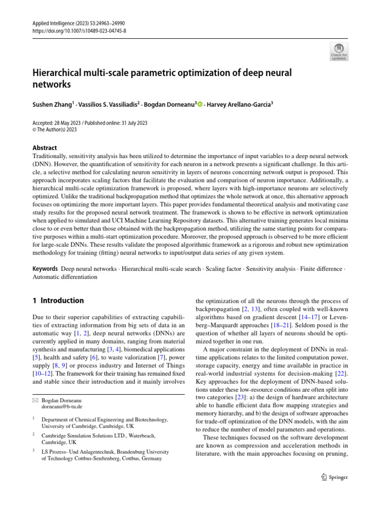 Hierarchical Multi Scale Parametric Optimization of Deep Neural Networks | PDF | Deep Learning ...
