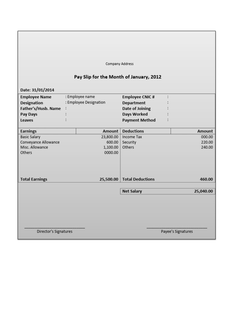 Pay Slip Format | PDF