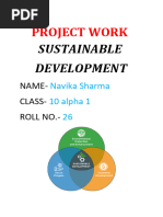 Class 10 Project on Sustainable Development | PDF | Sustainability ...