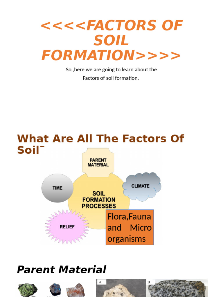 Factors of Soil Formation | PDF