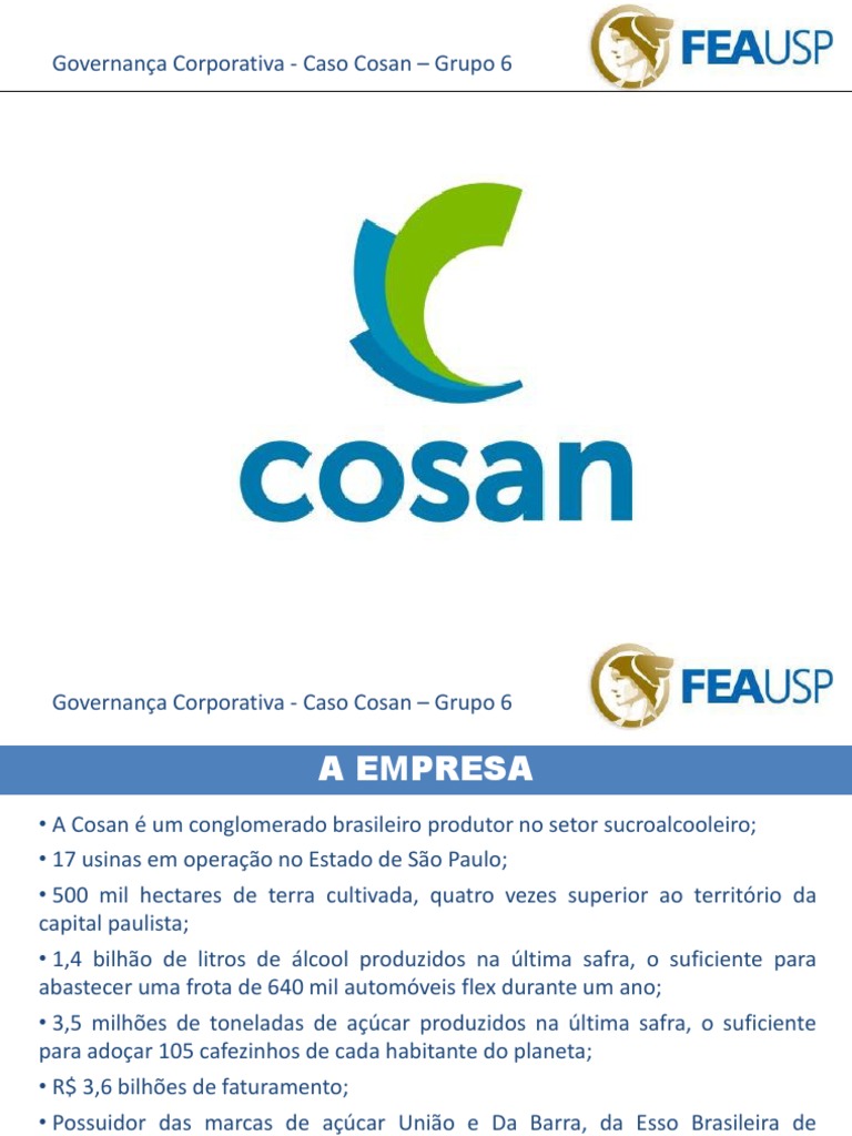 Trabalho Cosan v3.1 | PDF | Investimentos | Empresas