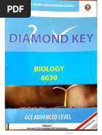 A-Level Geography Notes | PDF