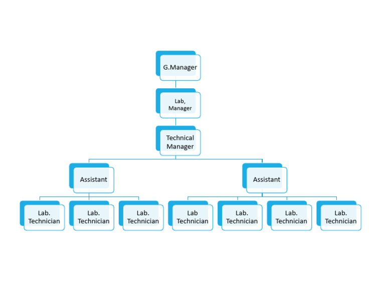Organization Chart From Data1 | PDF