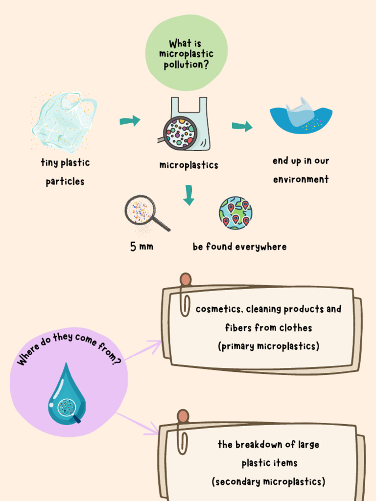 Understanding Microplastic Pollution | PDF