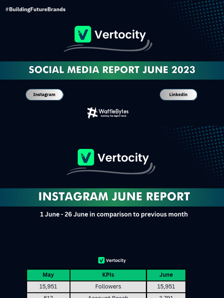 Vertocity Social Media Report | PDF