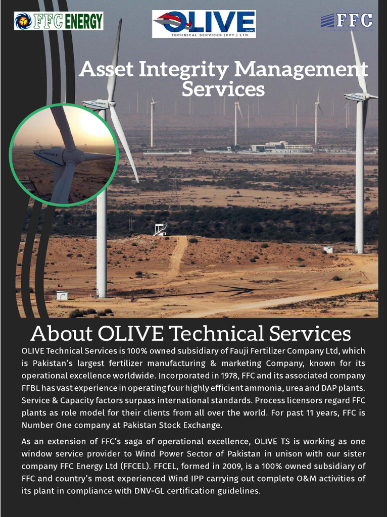 OLIVE TS Brochure - Asset Integrity Management | PDF