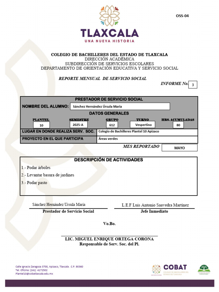 Reporte Mensual Ultimo | PDF