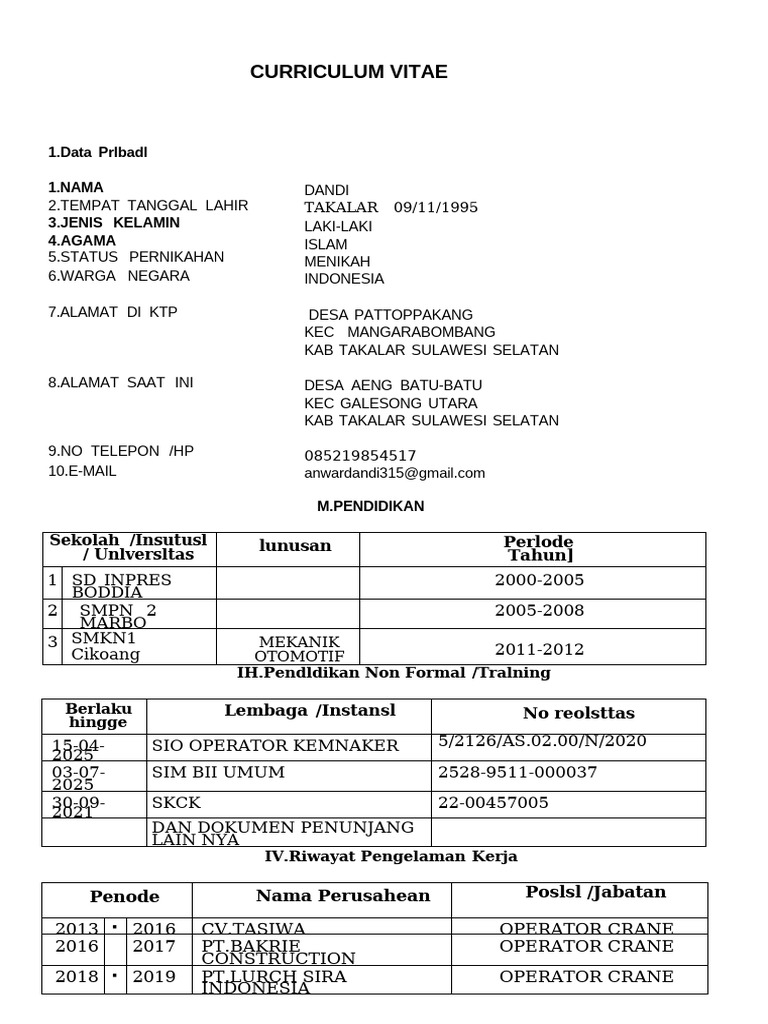 CV Lamaran Kerja Dandi | PDF