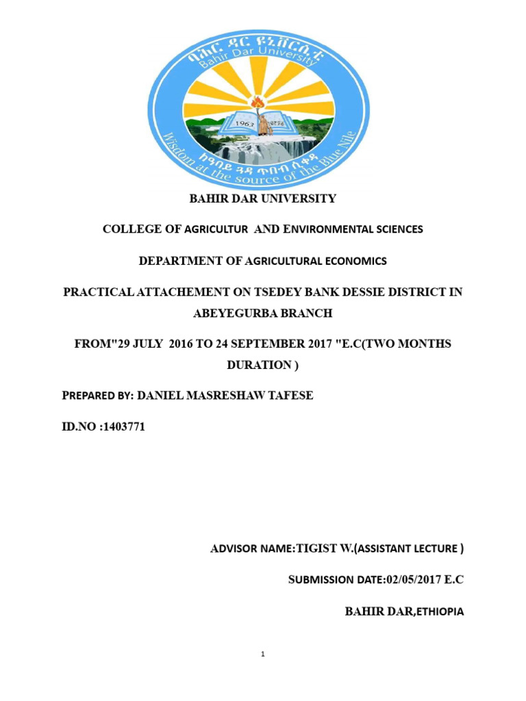 Daniel Masreshaw Practical Attachment | PDF | Banks | Debt