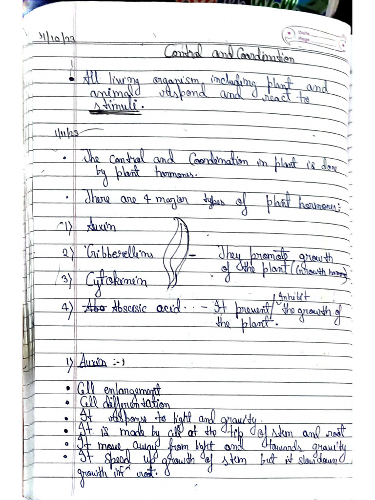 Control and Coordination Notes | PDF