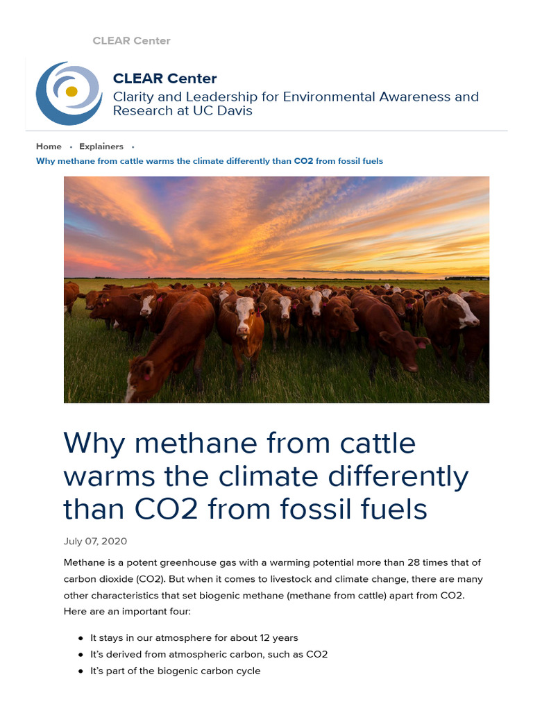 Why Methane From Cattle Warms The Climate Differently Than CO2 From ...