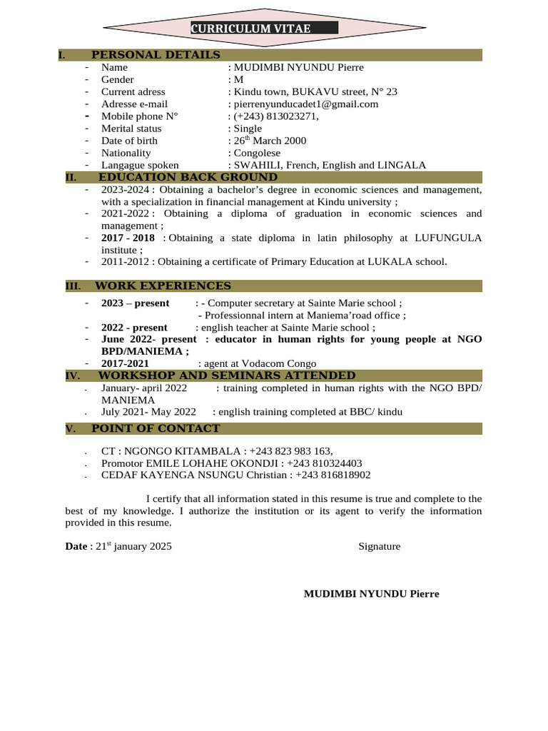 CV of Mudimbi Nyundu Pierre | PDF