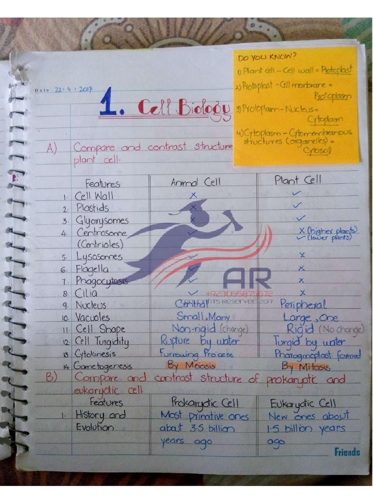 HandMade Biology KIPS Notes | PDF