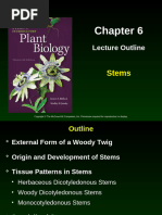 Plants Specialized Structures | PDF