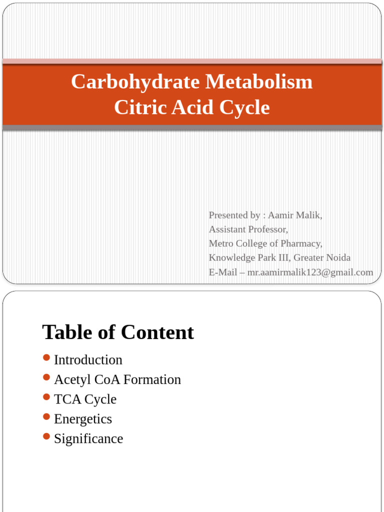 Carbohydrate Metabolism - TCA Cycle | PDF