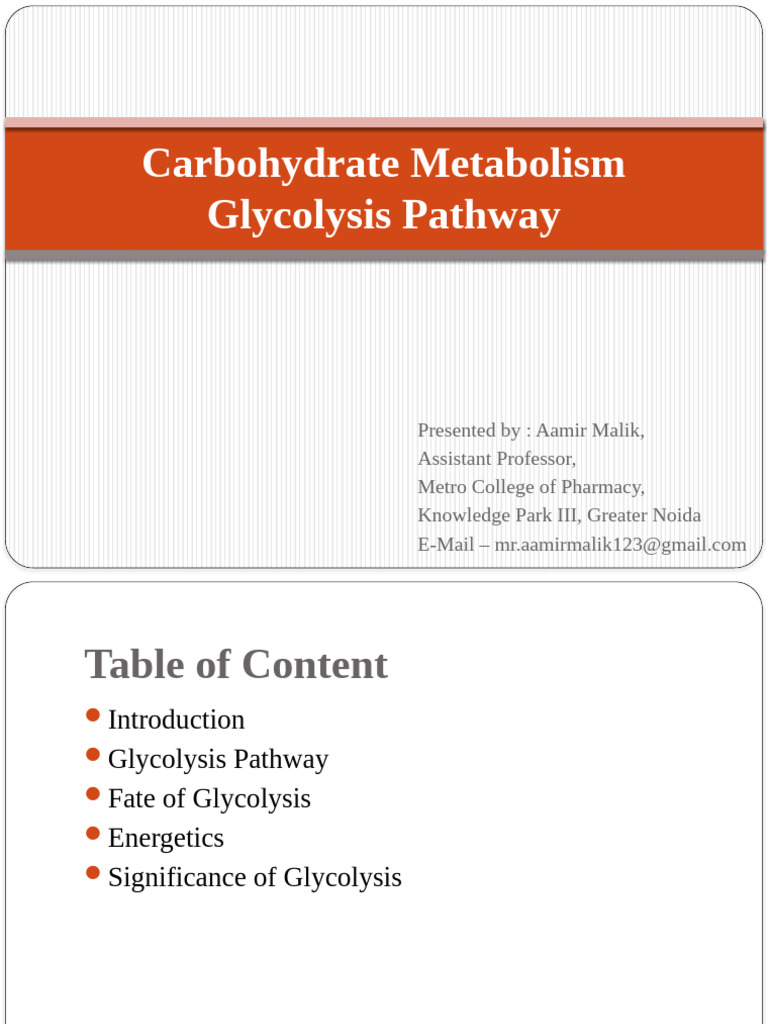 Carbohydrate Metabolism - Glycolysis | PDF