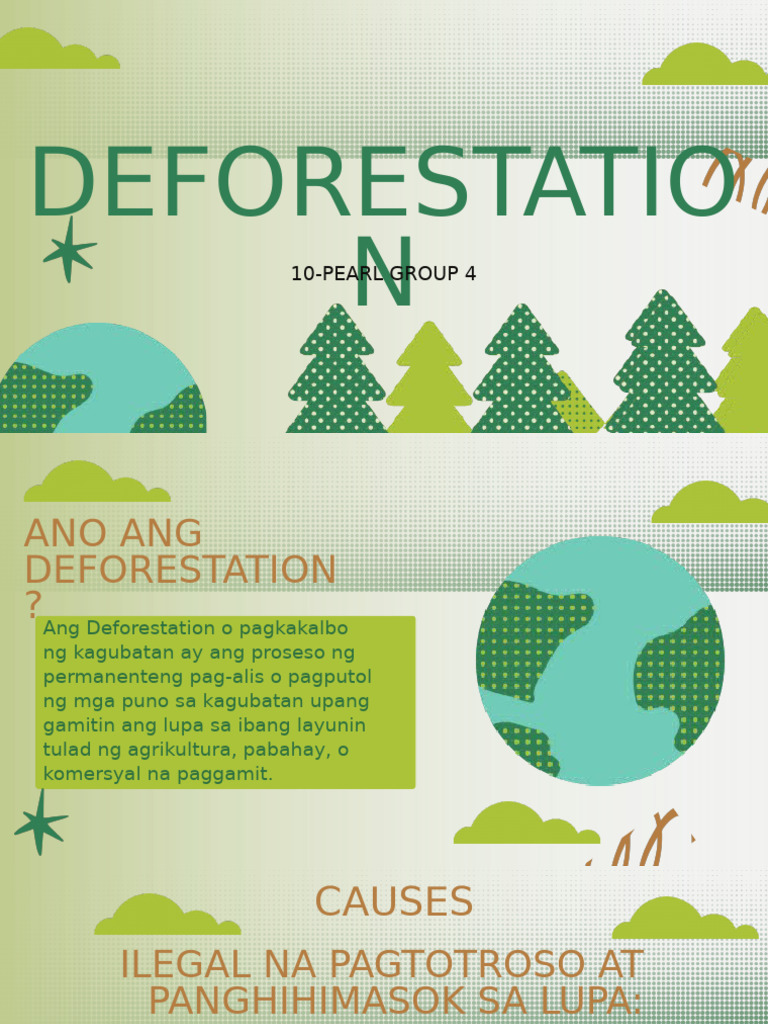 Deforestation Group 4 | PDF