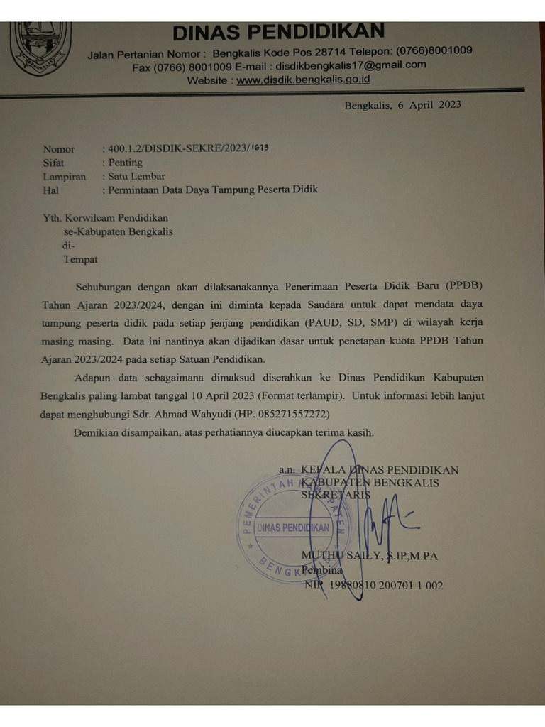 Surat Daya Tampung PPDB | PDF