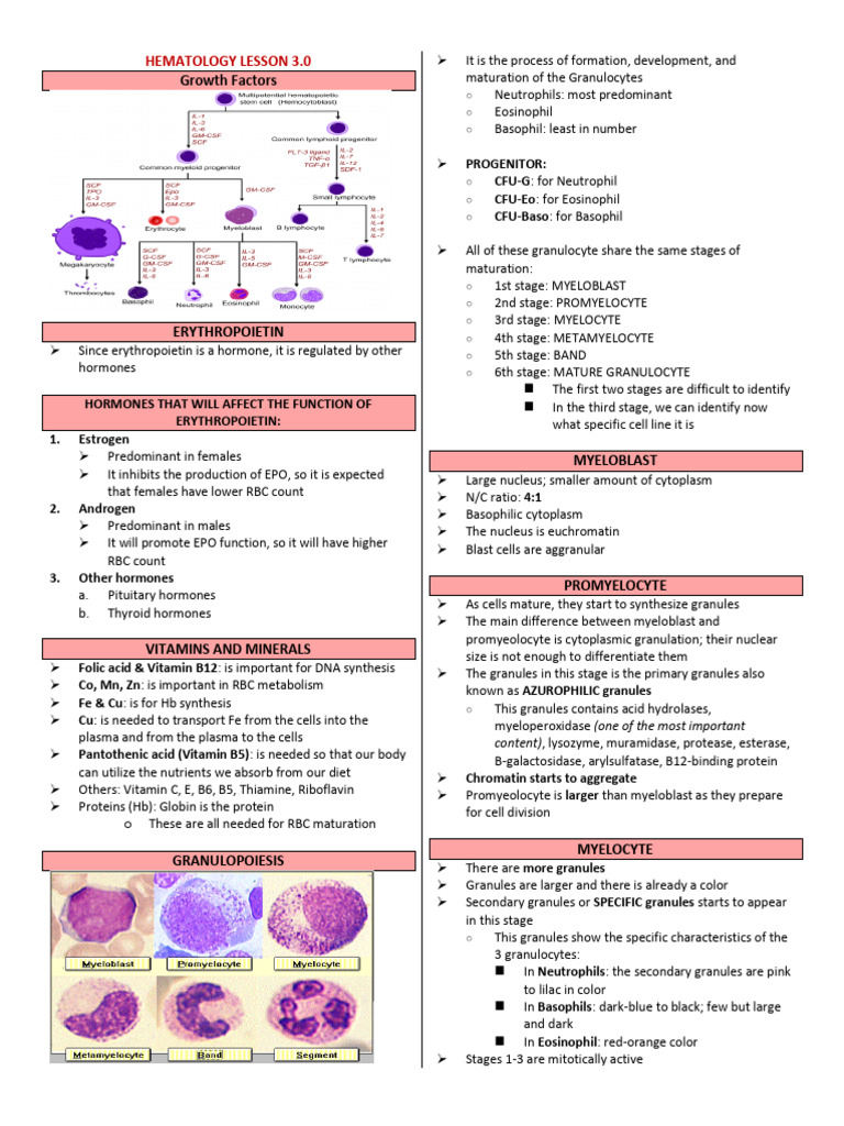 Hematology Lesson 3.docx Transes | PDF | White Blood Cell | Granulocyte
