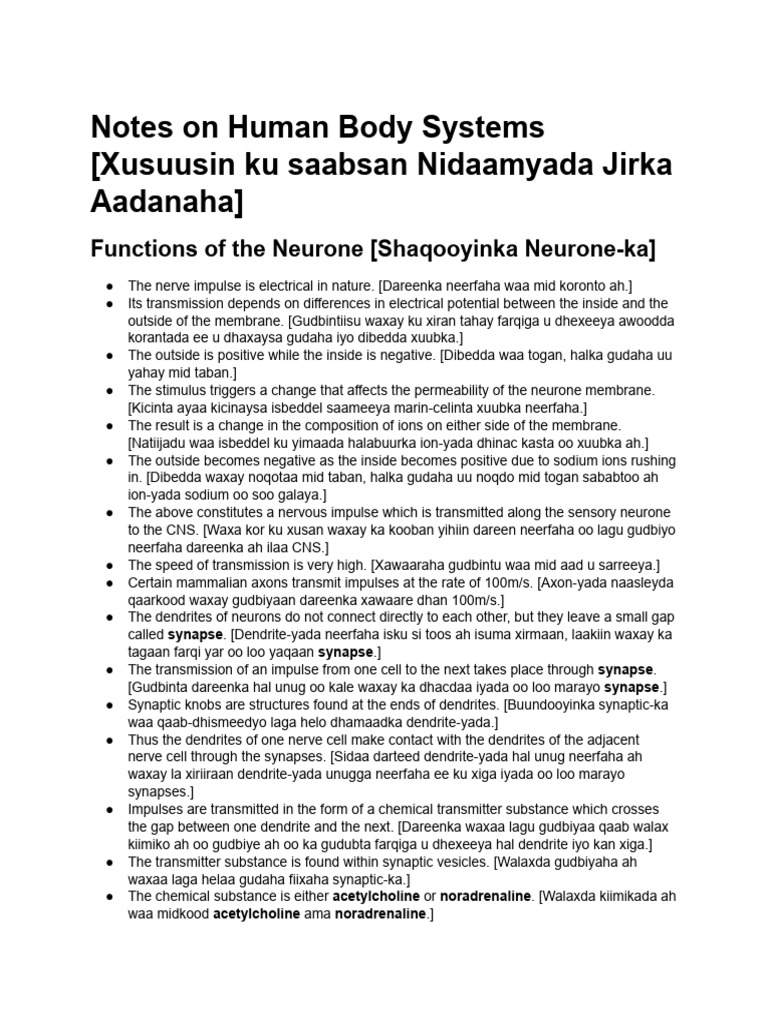 Human Body Systems Notes (English & Somali) | PDF | Myelin | Neuron
