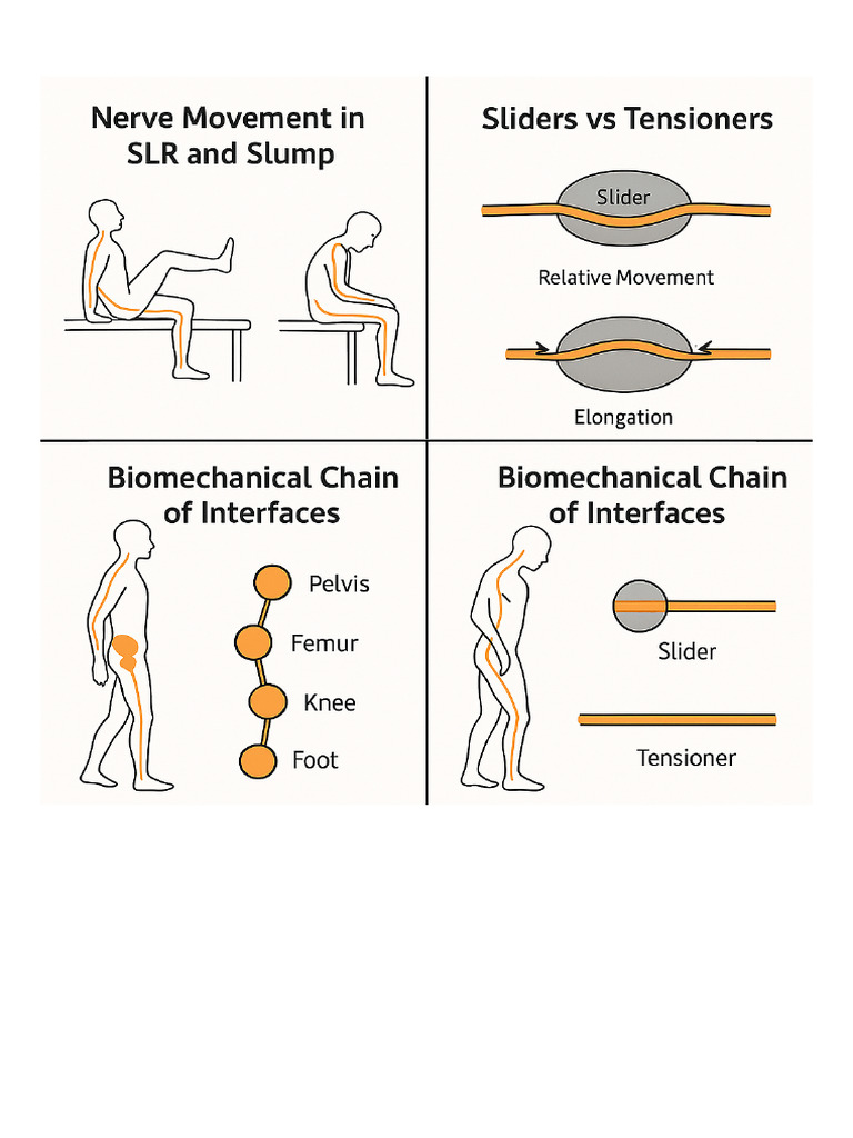 Clinical Neurodynamics Visuals | PDF
