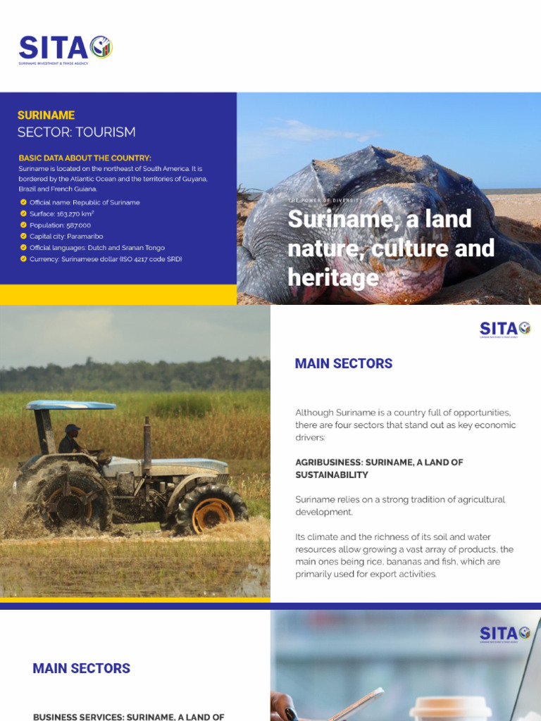 5 Toruism Sector | PDF