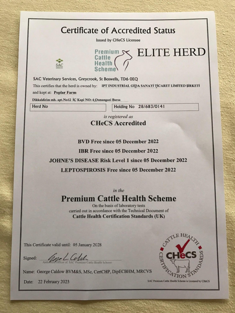 Cow Herd Health Certificate | PDF