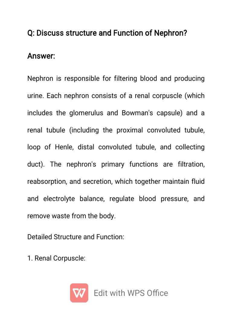 Discuss Structure and Function of Nephron | PDF | Organ (Anatomy) | Kidney