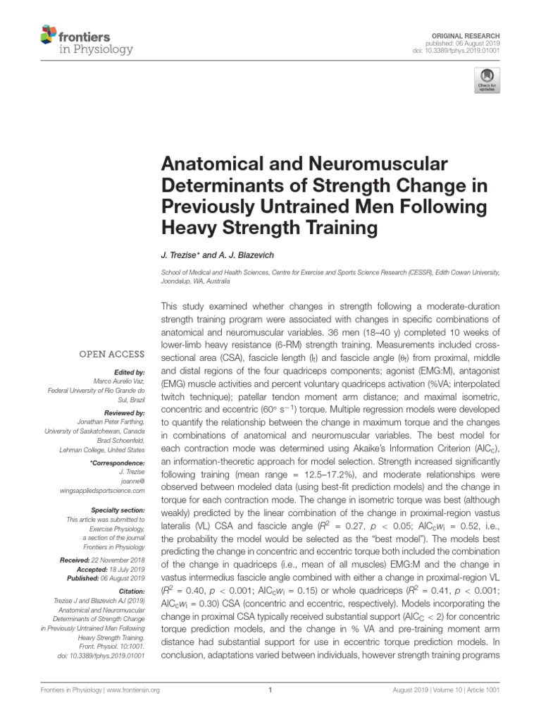 Anatomical and Neuromuscular Determinants of Strength Change in ...