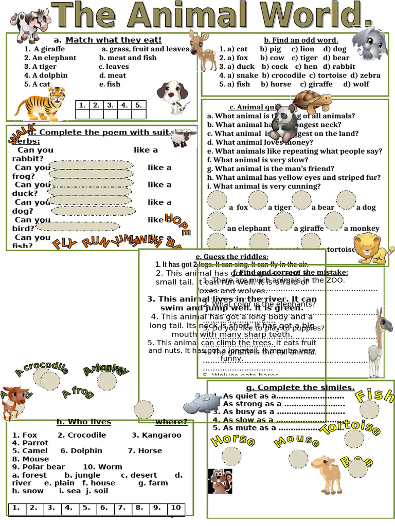 Animals Fun Activities Games 14994 | PDF | Zoology