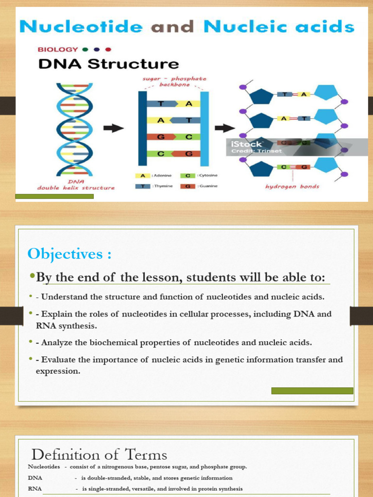 Nucleotides and Nucleic Acid | PDF