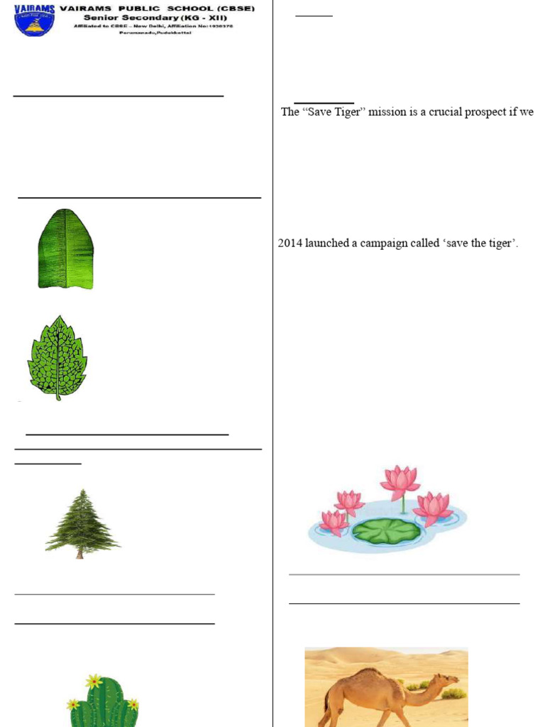 Class 6 Biodiversity Worksheet | PDF | Biodiversity | Habitat