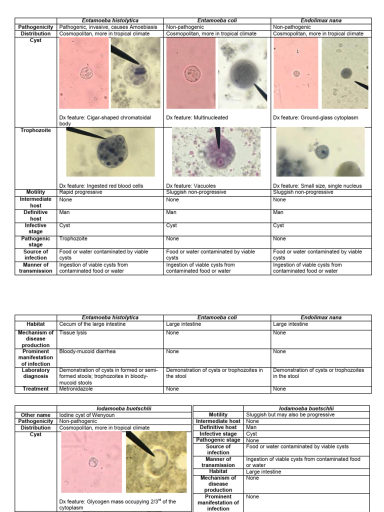 Protozoan Parasites: Pathogenicity & Diagnosis | PDF