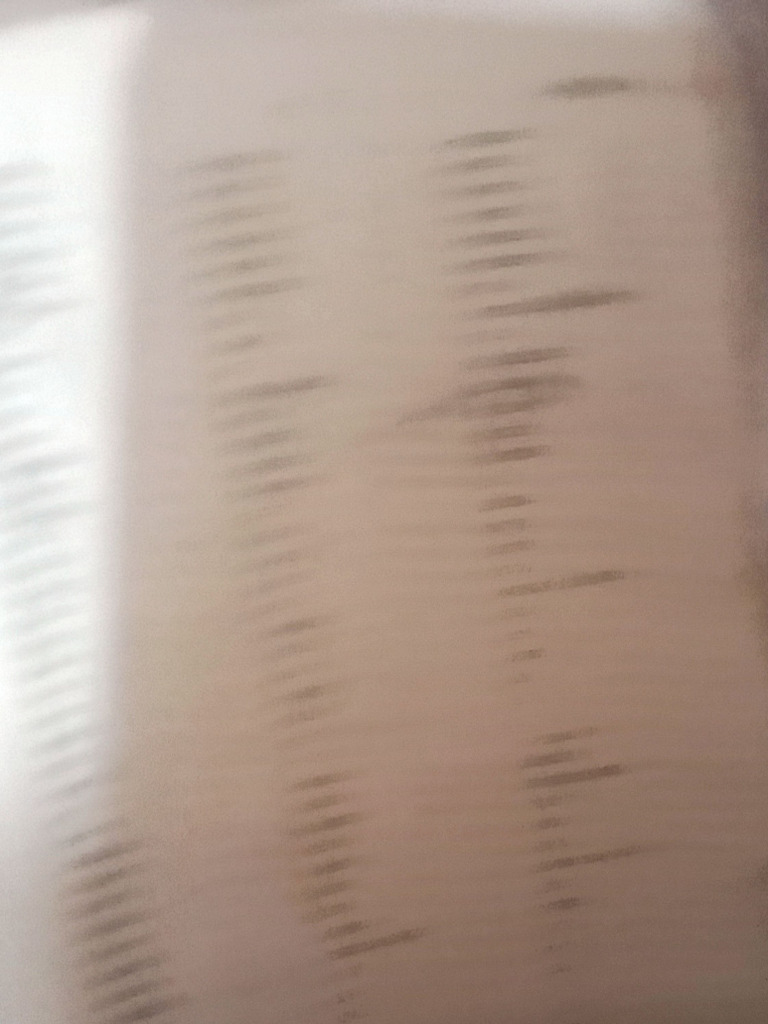 Scanned 20250708 190249 | PDF