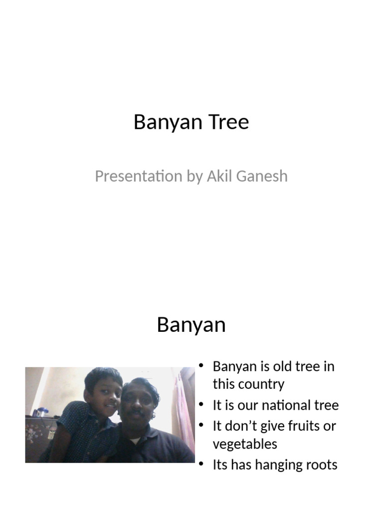 Banyan Tree | PDF